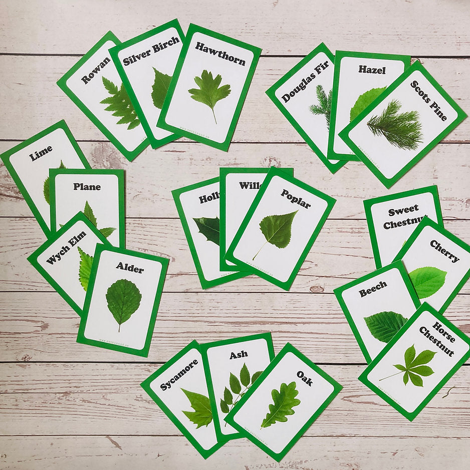 Tree Leaf Identification Cards – Rubbastuff