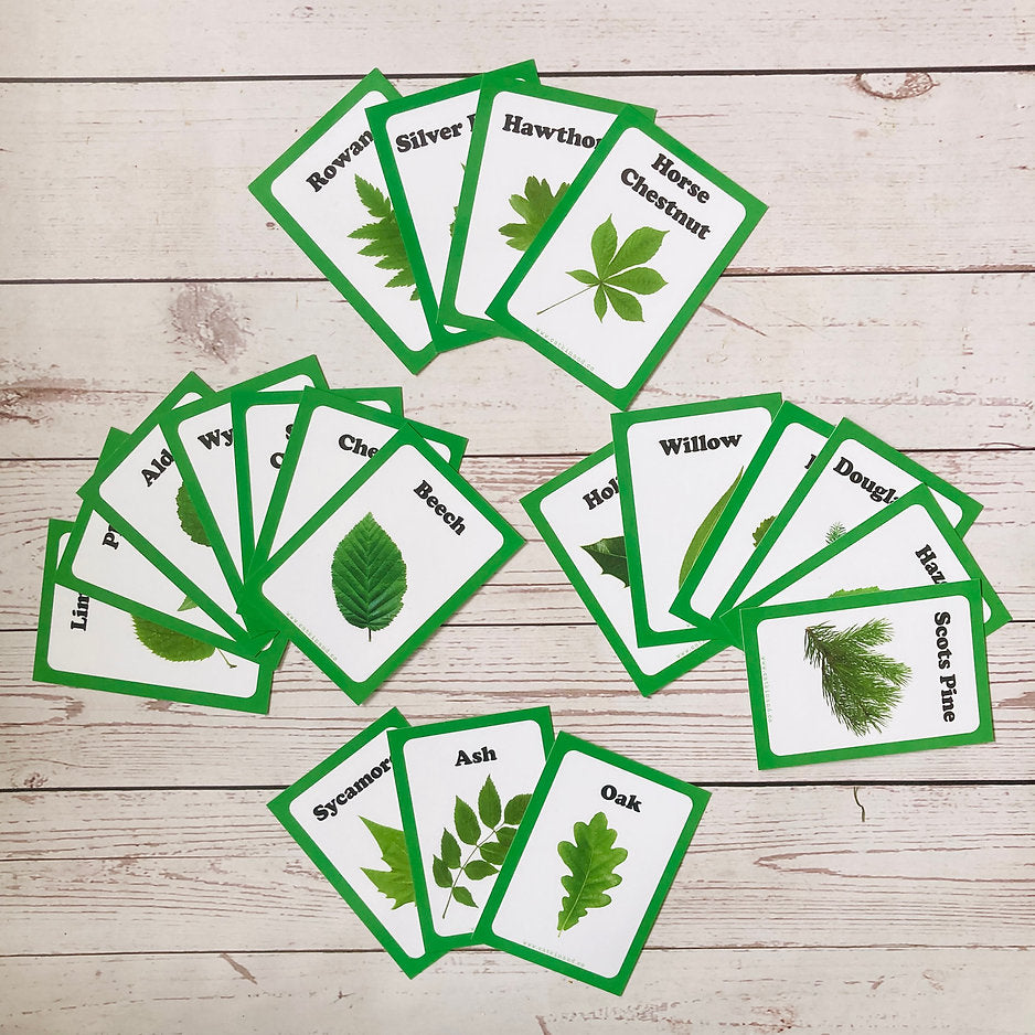 Tree Leaf Identification Cards – Rubbastuff