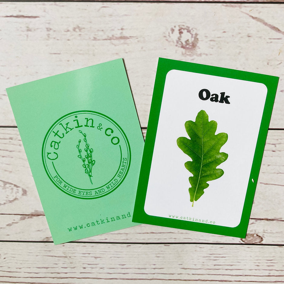 Tree Leaf Identification Cards – Rubbastuff