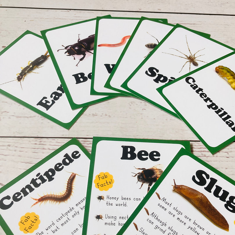 Minibeast Hunt Kit – Rubbastuff