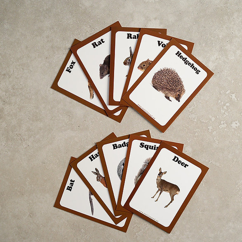 Animal Poo Cards – Rubbastuff