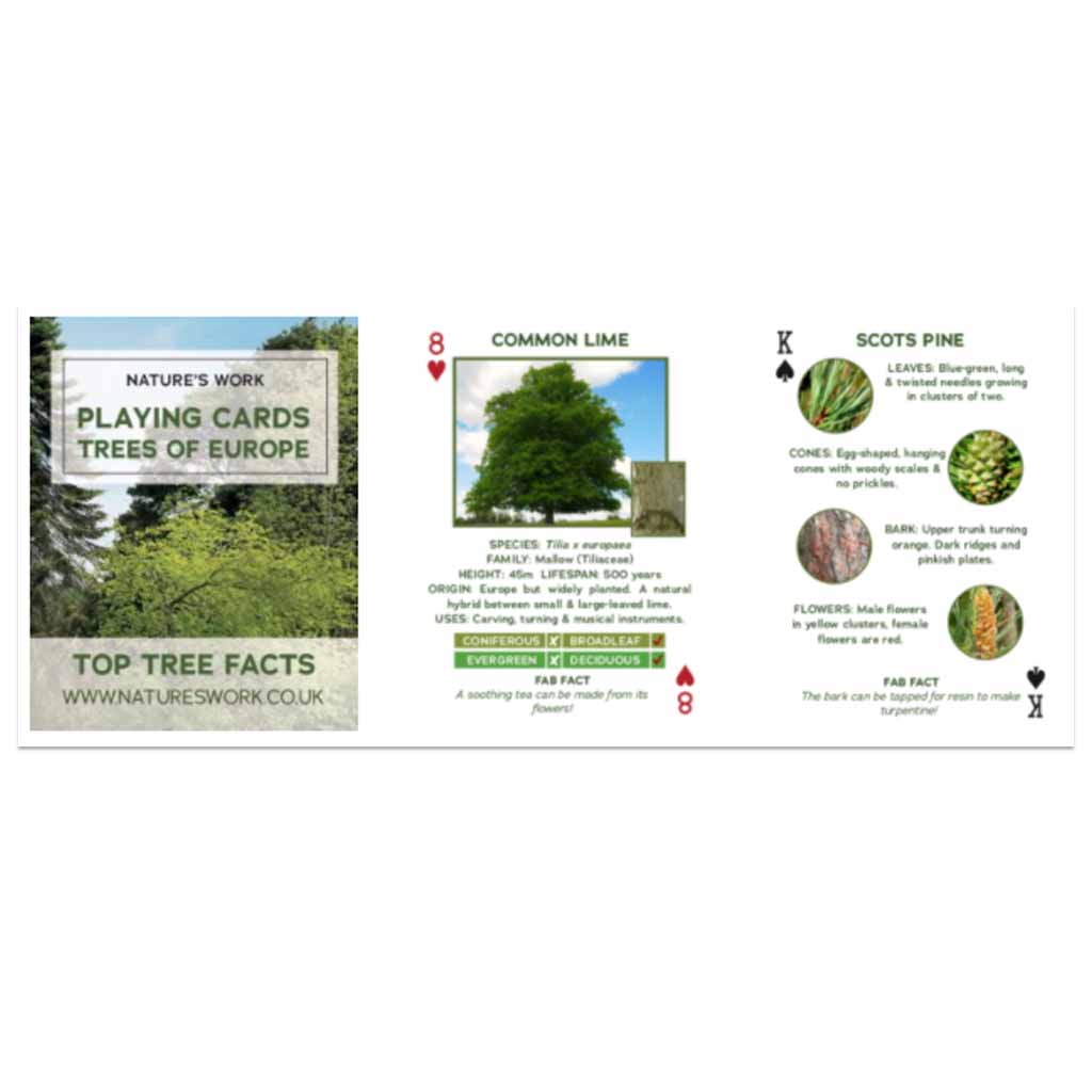 Trees of Europe playing cards – Rubbastuff